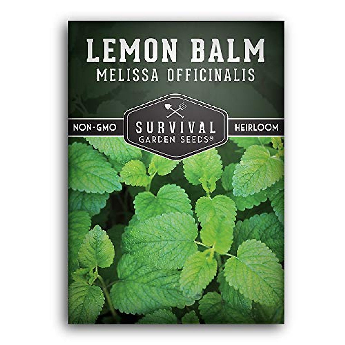 Survival Garden Seeds - Lemon Balm Seed for Planting - Packet with Instructions to Plant and Grow Melissa Officinalis in Your Home Vegetable Garden - Non-GMO Heirloom Variety