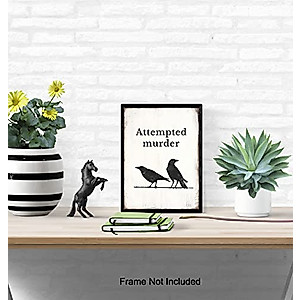 Crow Raven Wall Art & Decor - Unique Gift for Ornithology, Attempted Murder Mystery, True Crime, Bird Watching, Birdwatching, Writer, Author, Ornithologist, Men, Women - Funny Sayings Poster
