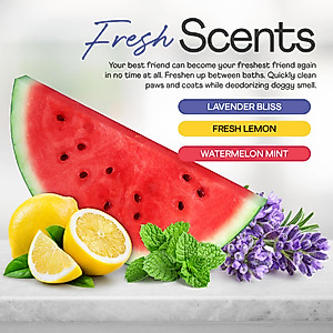 Himmy Large Pet Wipes for Dogs and Cats - 12" x 18" Bath Wipes for Cleaning, Deodorizing, Conditioning, Anti-Itch Grooming, Wet Dog Wipes for Paws, Butt, Ear, Eye, Whole Body Fresh Lemon