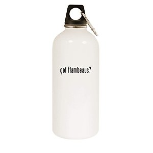 got flambeaus? - 20oz Stainless Steel White Water Bottle with Carabiner, White