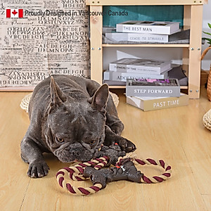 HugSmart Pet – Rope Monster | Tough Rubber and Rope Tug Toy for Small Medium and Large Dogs