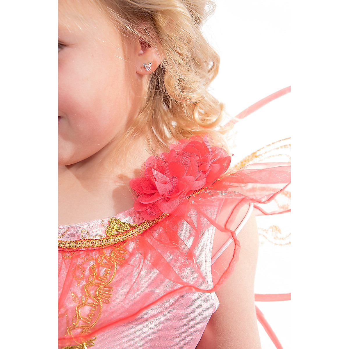 Little Adventures Butterfly Fairy Dress Up Costume (Medium (Age 3-5)) - Machine Washable Child Pretend Play and Party Dress (wings sold separately)