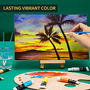 Acrylic Paint Set, Aen Art 16 Colors Painting Supplies for Canvas Wood Fabric Ceramic Crafts, Non Toxic&Rich Pigments for Beginners