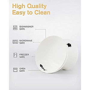 immaculife Ceramic Raised Cat Food Bowl for Elder Big Cats, Elevated Cat Dish, Tilt Angle Protect Cat's Spine, Stress Free, Backflow Prevention, Gift for cat