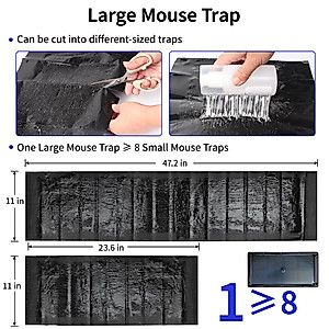 6 Pack Mixed Sizes Large Rat Traps, Heavy Duty Sticky Mouse Traps for House Indoor, Extra Strength Snake Traps for Mice Rat Snake Roach Lizard Spider Scorpion and Other Pests