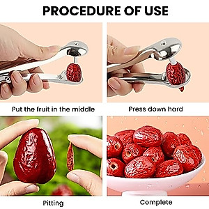 CALIDAKA Cherry Pitter Tool, 4PCS Stainless Steel Pitter Tool, Portable Cherry Remover Olives Pitter Tool, Kitchen Pitter for Cherry, Olives, Hawthorn, Red Date