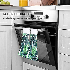 Tropical Leaf Hanging Kitchen Towels 2PC, Green Monstera Palm Leaves Hand Towels Dish Cloth Tie Towel Absorbent Oven Stove Washcloth with Loop for Bathroom Farmhouse Housewarming Tabletop Home