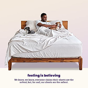 Sheets & Giggles 100% Eucalyptus Lyocell Sheet Set - All-Season, Responsibly Made, Naturally Cooling, Super Soft, Moisture-WicQueen, Temperature Balancing, Vegan – Queen, Pearl