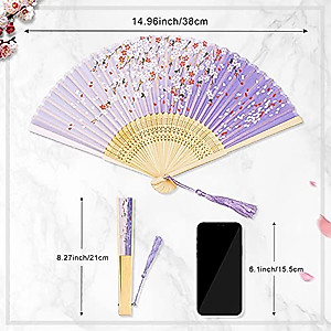 iPihsius Folding Fan, Slik Folding Hand fan with First Layer Bamboo, with Storage Bag, 2Pcs Tassels, For Cooling, Performances, Decorations, Gifts, Classic Ink Plum Gradient Violet