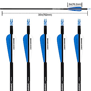 ARCHERY SHARLY 30Inch Carbon Hunting Arrow, Targeting Practice Arrows for Compound & Recurve Bow, Blue White Arrows with Removable Tips & Replaceable Nocks (12 Pack)