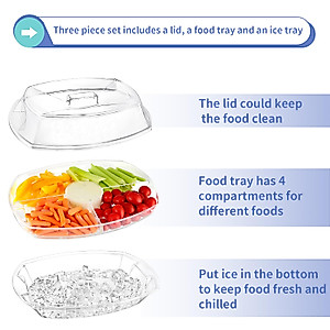MOLIGOU Chilled Serving Tray, Ice Party Platter with Lid, 4 Compartments Appetizer Serving Tray on Ice