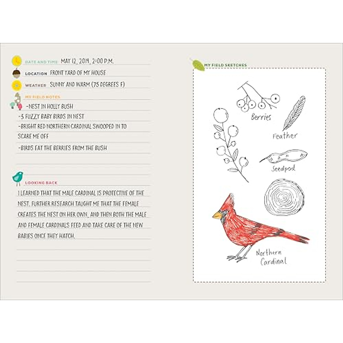 Exploring Nature Journal for Kids: Observe and Record the Outdoors (Exploring for Kids Activity Books and Journals)