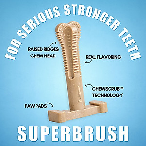 Bullibone SuperBrush: Dog Teeth Cleaning Brushing Toothbrush Stick - Long Lasting Nylon Apple Cinnamon Chew Toy for Oral Care and Dental Health