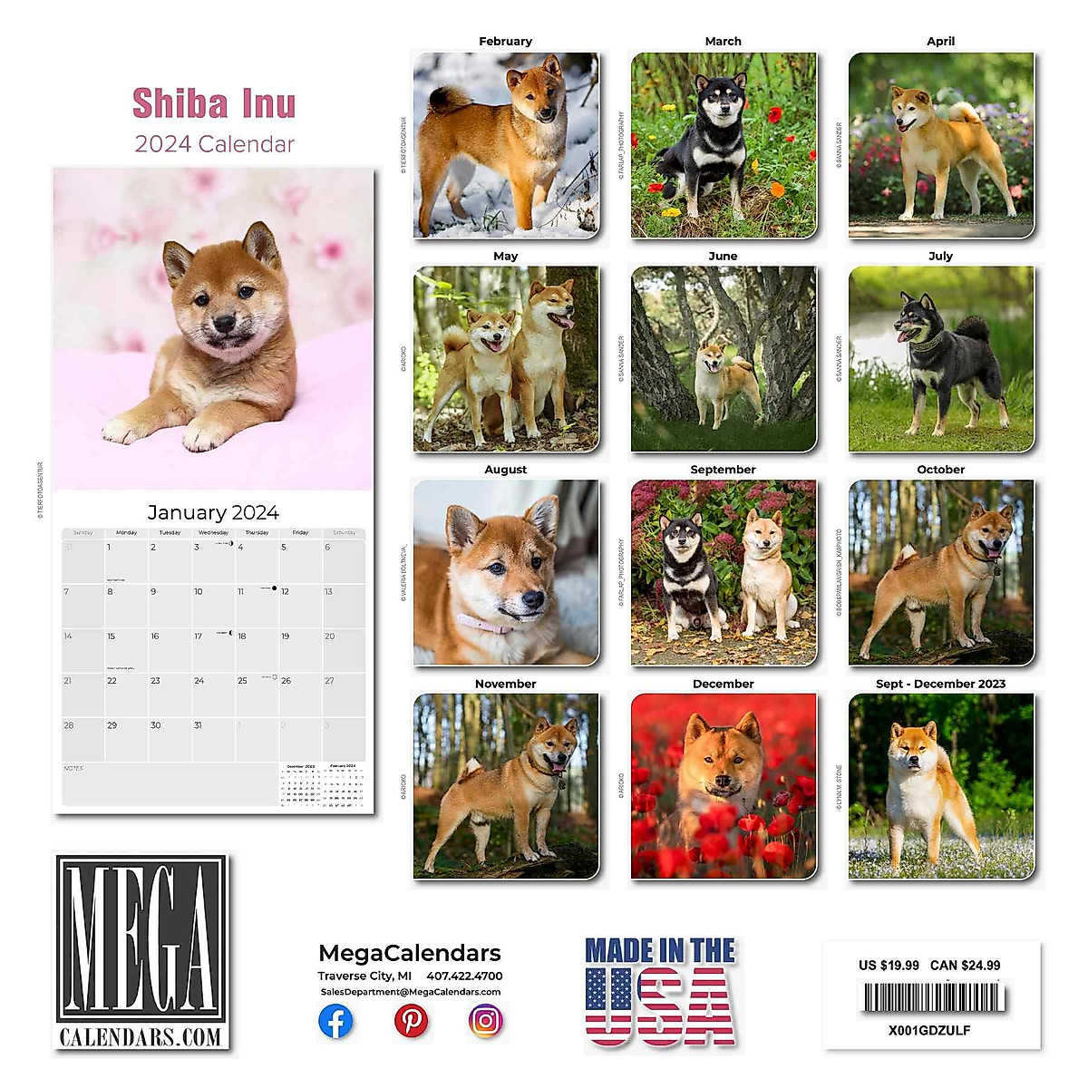 2023 2024 Shih Tzu Calendar - Dog Breed Monthly Wall Calendar - 12 x 24 Open - Thick No-Bleed Paper - Giftable - Academic Teacher's Planner Calendar Organizing & Planning - Made in USA