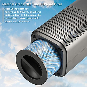 Airthereal H13 Medical Grade True HEPA Filter Replacement for Glory Day AGH380 Air Purifier