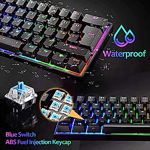 ZIYOU LANG MK21 Portable 60% Mechanical Gaming Keyboard Untra-Compact Type-c Wired with Light Up Chroma LED Backlit Non-Conflict 61 Key TKL Ergonomic for PS4 PS5 PC Mac Windows(Black/Blue Switch)