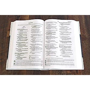 Nueva Versión Internacional Biblia del Pescador, letra grande, verde tapa dura | NVI Fisher of Men Bible, Large Print, Green, Hardcover (Spanish Edition)