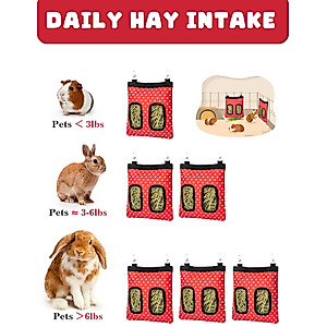 Petbank Rabbit Hay Feeder Guinea Pig Hay Feeder, Hanging Rabbit Hay Feeder Bag with 2 Holes for Chinchilla Hamsters Rabbit Guinea Pig Small Pets