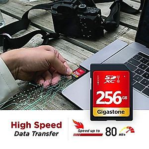 Gigastone 256GB SD Card UHS-I U1 Class 10 SDXC Memory Card High Speed Full HD Video Canon Nikon Sony Pentax Kodak Olympus Panasonic Digital Camera, with 1 Mini case