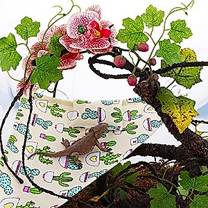 2 Pack Reptile Hammock with Small Pillow Swing Hanging Bed Lounger Ladder with Adhesive Hooks and Suction Hook for Lizard Leopard Gecko Bearded Dragon