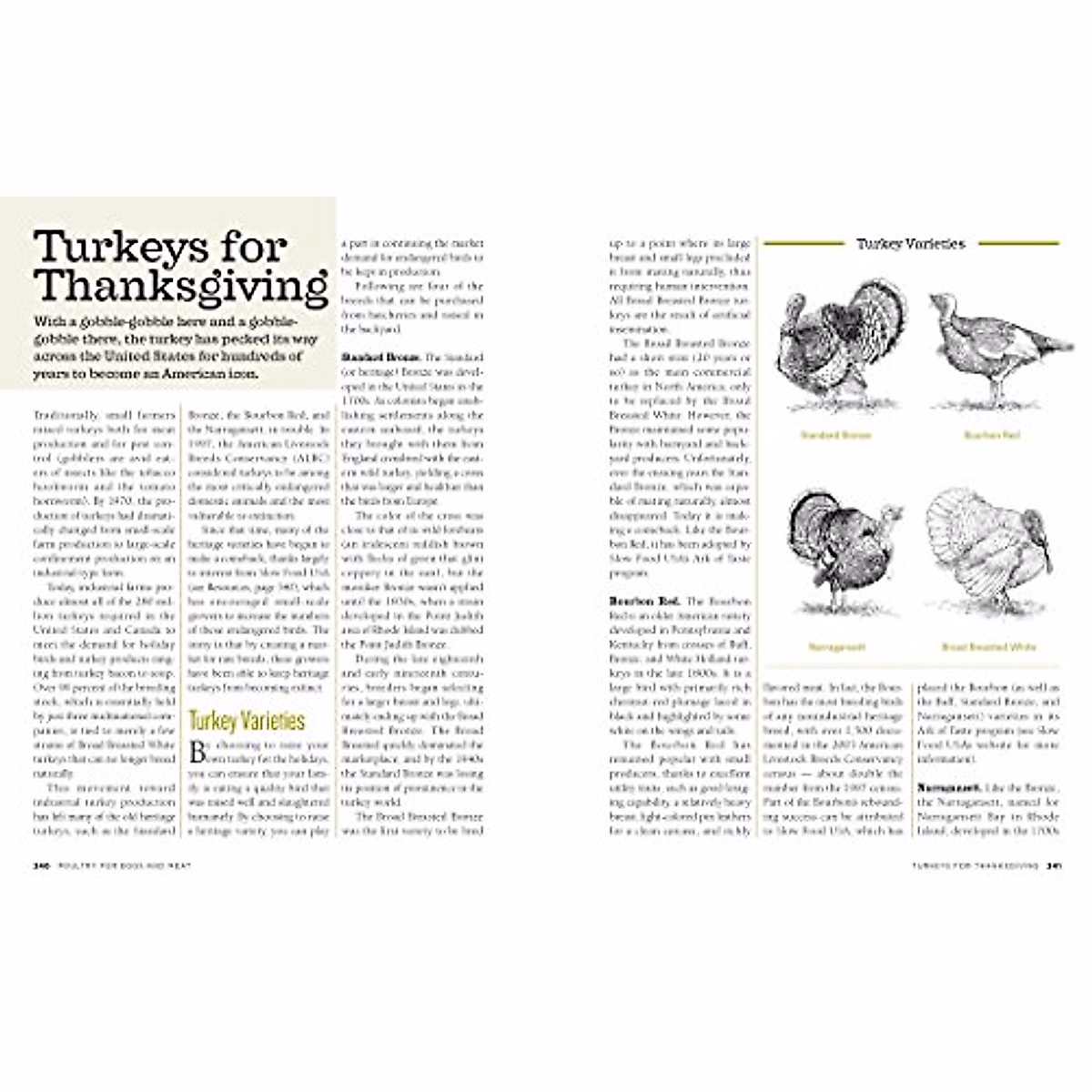 The Backyard Homestead: Produce all the food you need on just a quarter acre!