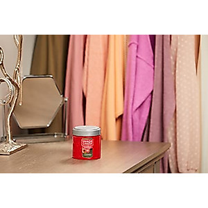 Yankee Candle Fragrance Spheres Odor Neutralizing Scent Beads, Macintosh