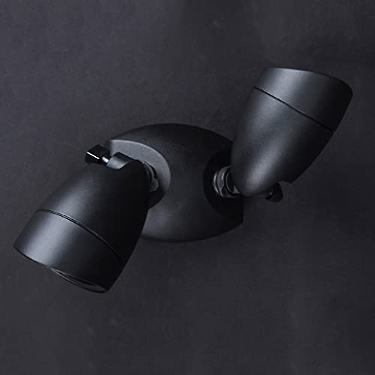 Wall Light IP54 Waterproof Outdoor Wall Sconce,Black Aluminum Rotatable Double-head Wall Lamp,Modern Wall Light for Courtyard Garage Garden Wall Lamp Home (Color : Black)
