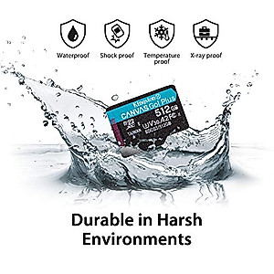 Kingston 256GB microSDXC Canvas Go Plus 170MB/s Read UHS-I, C10, U3, V30, A2/A1 Memory Card + Adapter (SDCG3/256GB)