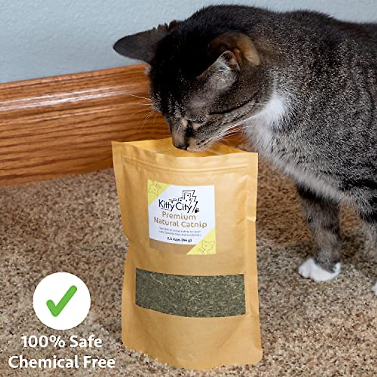 Kitty City Premium Natural Catnip
