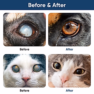 Cataract Drops for Dogs, Dog Eye Drops, Improve Vision Clarity, Improve Eye Vision and Cataracts(2 x 10 mL)