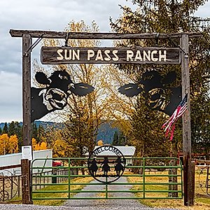 TAGHEI Farm Peeping Cow Metal Art Garden Sculpture, Peeping Animals Metal Art, for Garden Fence Decoration Outdoor Decoration for Farmhouse, Yard, Lawn (Peeping Cow)