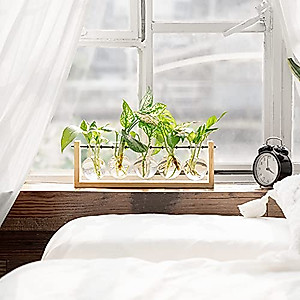 Mkono Plant Terrarium with Wooden Stand, Wall Hanging Glass Planter Desktop Plant Propagation Vase with Metal Swivel Retro Rack for Hydroponics Plants Home Office Decor (5 Bulb Vase)