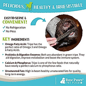 Raw Paws Green Lamb Tripe Sticks for Dogs, 25-Pack - Single Ingredient, Crunchy Green Tripe Lamb Dog Treats - Grass-Fed, Free Range Dehydrated Lamb Tripe for Dogs All Natural Dog Chews