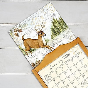 LANG Field Guide 2024 Wall Calendar (24991001981) Multi
