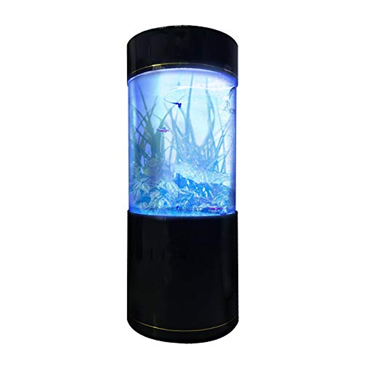 Penn-Plax Water World Luxury Large Cylinder Acrylic Aquarium with Built-in Stand and Storage Top – 360° View – Great for Freshwater and Saltwater Fish – 53 Gallons