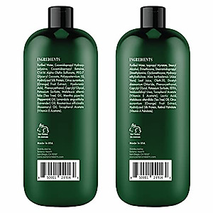 Botanic Hearth Shampoo and Conditioner Set - with 100% Pure Tea Tree Oil, for Itchy and Dry Scalp, Sulfate/ Paraben Free - for Men and Women - 16 fl oz each