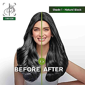 Garnier Color Naturals Nourishing Permanent Hair Color Cream - Natural Black 1 Set