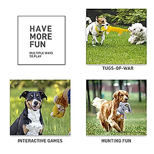 Nocciola 10 PCS Crinkle Dog Squeaky Toys with Double Layer Reinforced Fabric, Durable Plush Dog Toys, No Stuffing Body Dog Toy Set for Small to Large Dogs (10PCS 90 squeakers)