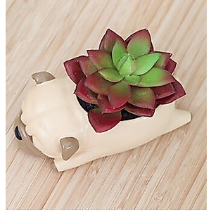 Succulent Pots,Cute Animal Pug Dog Shaped Air Plant Holder Flower Planters-Plants Not in Included