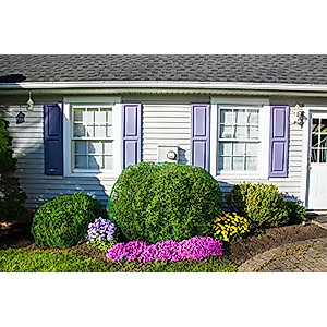 Deer-Terrent Plant Netting Cover- Size 6' X 6' for Shrubs Up to 2.5-3' Tall (6ft x 6ft). Repels Deer from Your Plants. Deer Protection for Plants