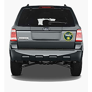 Be a Nice Human Sticker Magnet Decal for Fridge, Car, Locker, Whiteboard, Be Kind, Spread Kindness, 5 Inches (Nice Human)