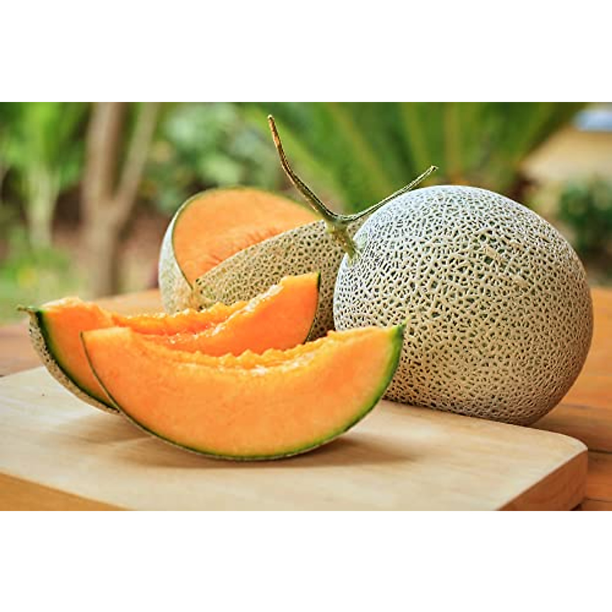 Imperial 45 Cantaloupe Seeds, 50+ Heirloom Seeds Per Packet, (Isla's Garden Seeds), Botanical Name: Cucumis melo VAR. cantalupensis, Non GMO Seeds
