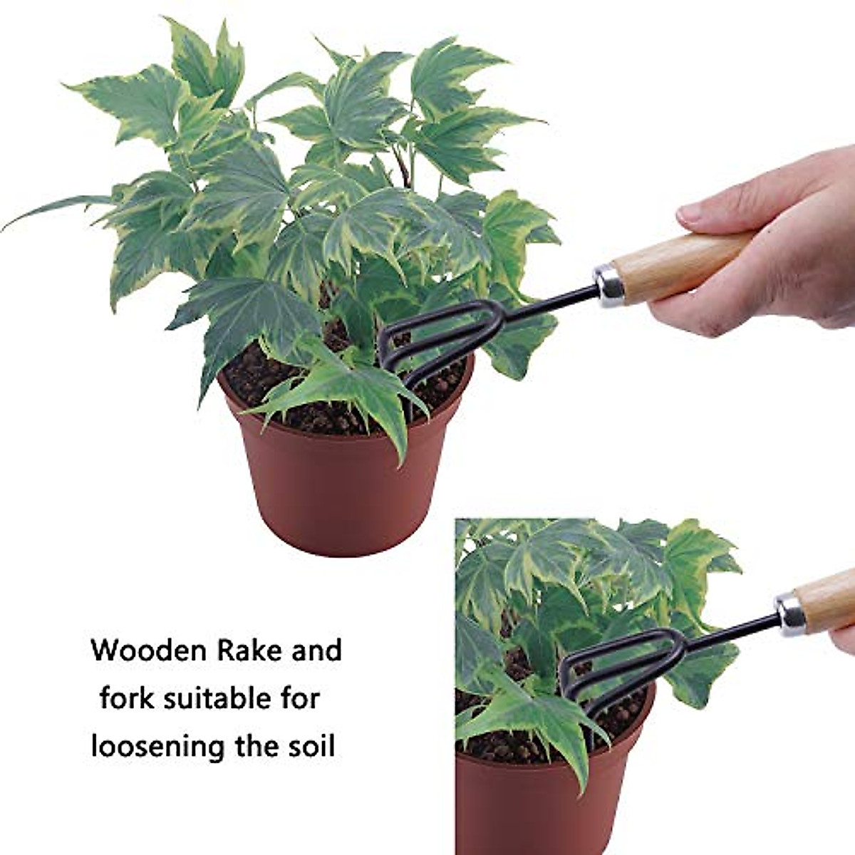 Hofumix Bonsai Tree Kit Bonzai Plant Tools Gardening Tools Set for Succulent Beginner Small Bonsai Care 10Pcs