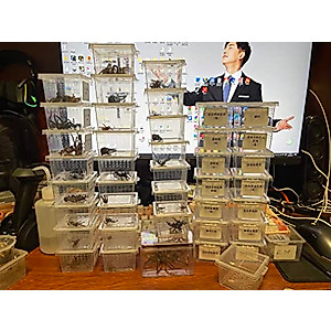 8pcs Small Reptile breeding Box Spider Terrarium freeding Box for arboreal Tarantula Scorpion Sling Lizards Mantis Jumping Spider Snail Insect Isopods (4high+4small)