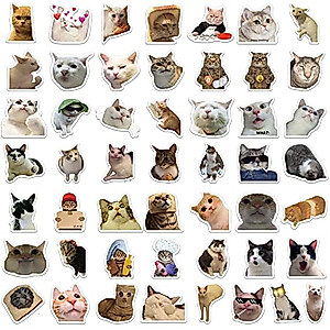 200 Pcs Cute Cat and Dog Stickers, Cat Funny Meme Waterproof Stickers,Vinyl Stickers for Water Bottle,Laptop,Phone,Skateboard Stickers for Kids Aldult Teens Girls (CDE)