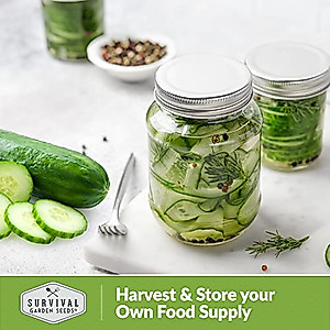 Survival Garden Seeds - Muncher Cucumber Seed for Planting - Packet with Instructions to Plant and Grow Delicious Burpless Slicing Cucumbers in Your Home Vegetable Garden - Non-GMO Heirloom Variety