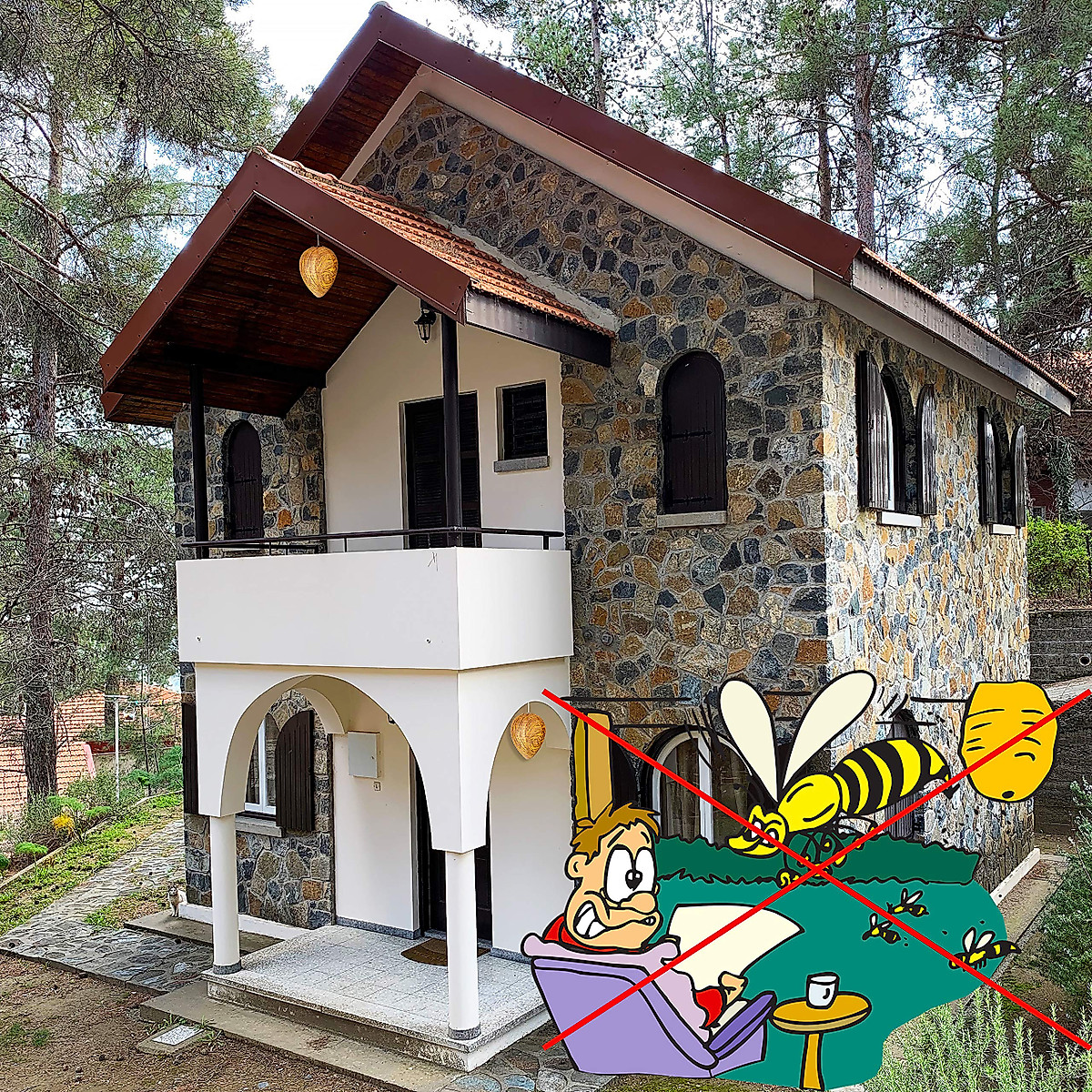 Wasp Nest Decoy - 2 Pack - Hanging Fake Wasp Nest