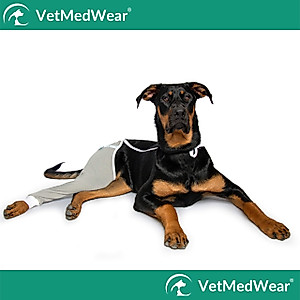 After Surgery Wear Hip and Thigh Wound Protective Sleeve for Dogs. Dog Recovery Sleeve. Recommended by Vets Worldwide (X-Large, Gray)