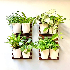 LaLaGreen Wall Planters for Indoor Plants - 10 Pack, 5 Inch Self Watering Plastic Wall Pot, White Wall Mounted Eco Wall Planter System Living Hanging Wall Planter Trendy Live Wall Garden for Herb