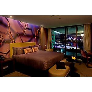 Philips LED 415794 Indoor Flood 50-Watt MR16 GU10 Base 120-Volt Light Bulb, 3-Pack